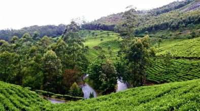 Munnar In Monsoon - A Trip To Remember
