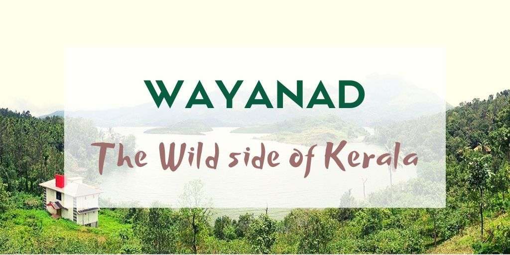 The Best Wayanad Itinerary And Travel Guide For 2023