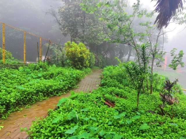 Places To Visit In Agumbe Ghats