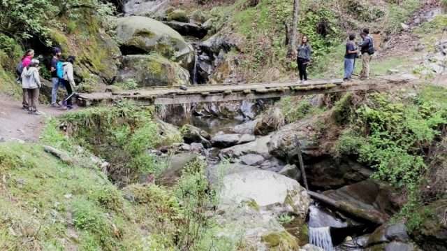 Fairy Forest Of Pulga