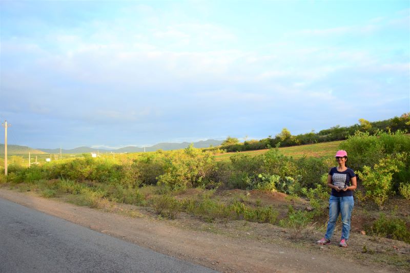 The Best Shimoga Trip Plan And Travel Guide For 2024