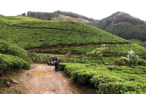 Best Munnar Itinerary For 4 Days : A Comprehensive Guide With PDF