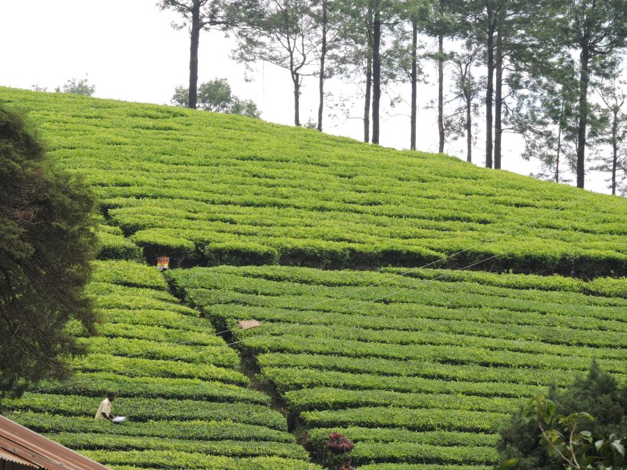 The Best 3-Day Goa Itinerary And Mini Travel Guide For 2024